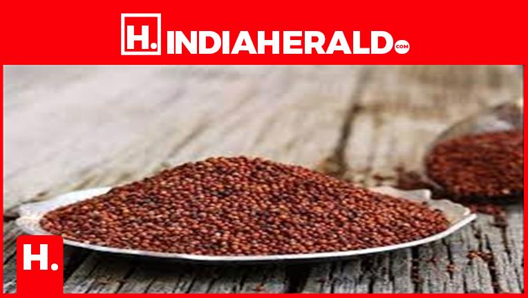 Surprising benefits of Ragi.. ? But, these people should no