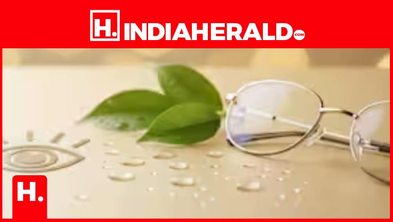 The Nutrition–Vision Link: Foods That Support Healthy Eyes