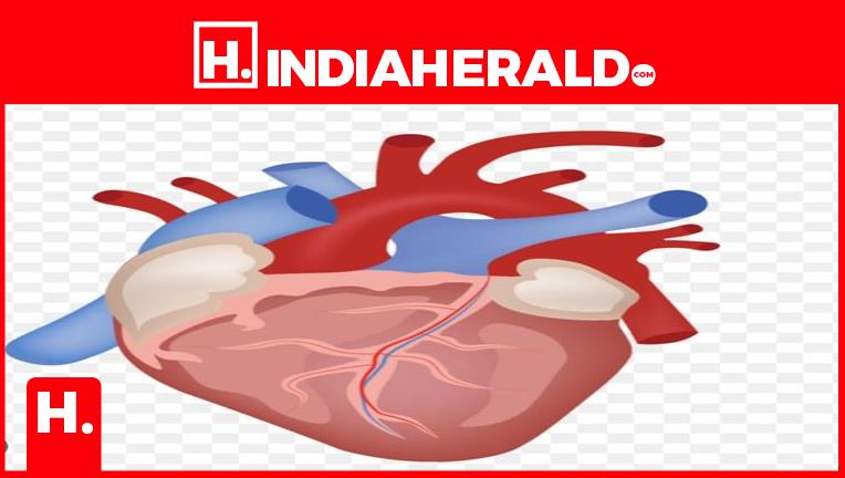 This food acts like poison for heart attack patients