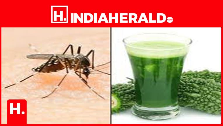 Tips to increase blood platelets in dengue fever...