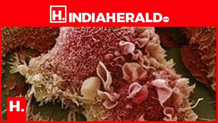 Why do cancer cells remain in the body despite treatment?