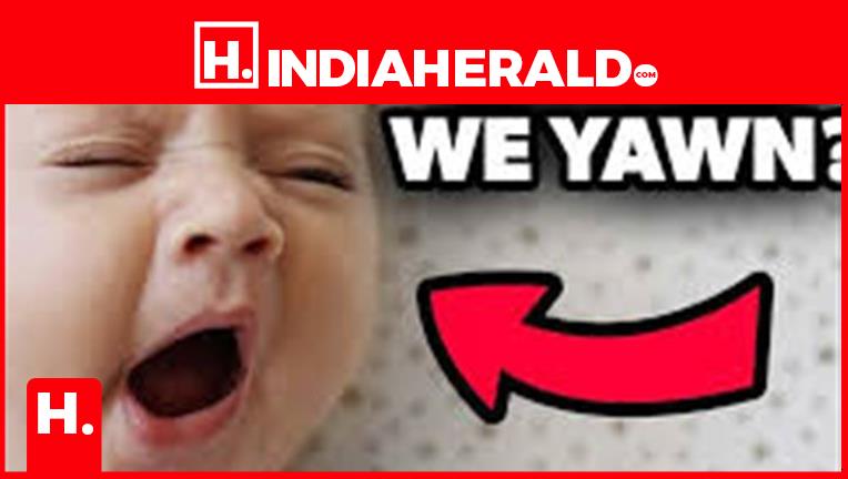 Why Do We Yawn? Strange Facts About Being Human
