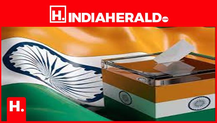 Diversity is emphasized in electoral politics...