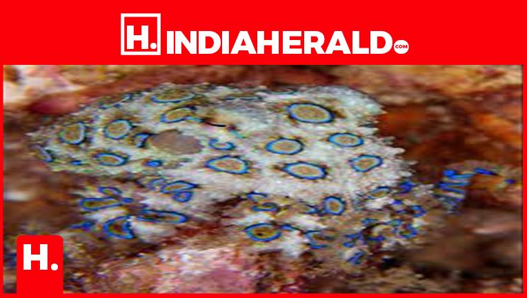 Every particle contains poison dissolved in it...