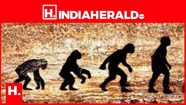 When and where did the journey of humans begin?