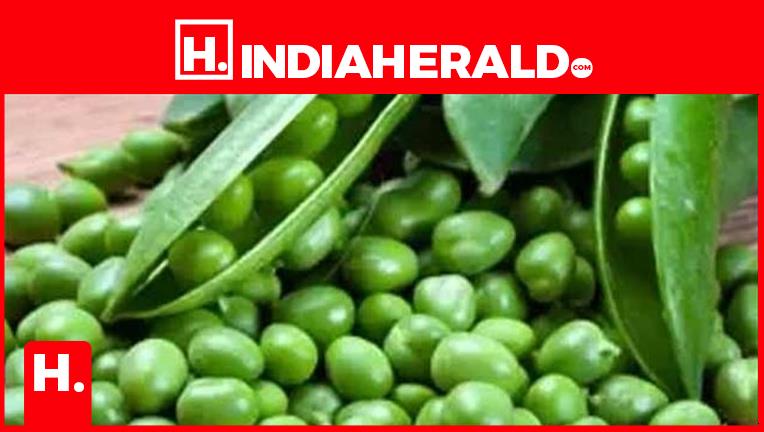 లైఫ్ స్టైల్: పచ్చి బఠాణీలు తినడం వల్ల ఈ రోగాలన్నీ పరార్..