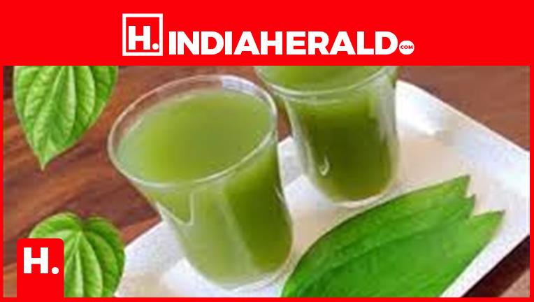 వాట్.. తమలపాకు రసం తాగితే ఇన్ని బెనిఫిట్సా..?