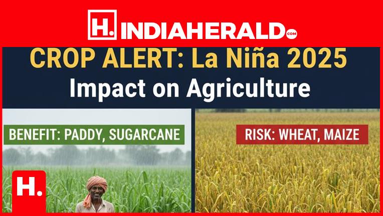Crop Alert: La Niña 2025 Impact on Indian Agriculture – Whe