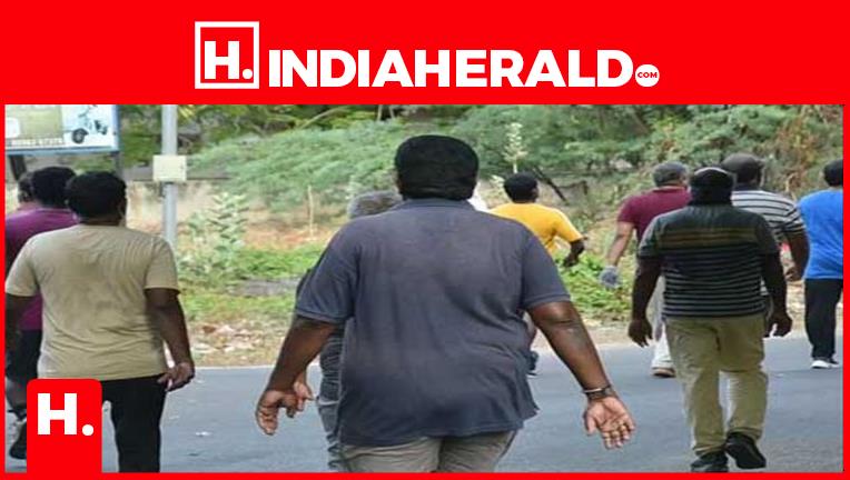 Indians becoming Fat in the study..