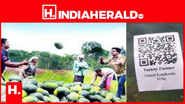 QR Code on Watermelon: For Non-Toxic Variety