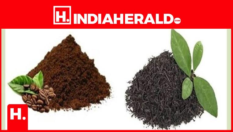 లైఫ్ స్టైల్: టీ పొడి కల్తీది అని ఎలా తెలుసుకోవాలి..?