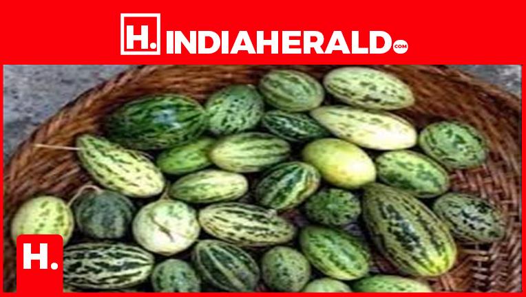 This Rare Vegetable, Available Only for Two Months Annually
