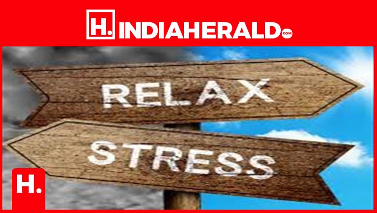 Tips for a less stressful life