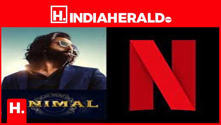 Animal OTT release date, a huge twist as a bonus..