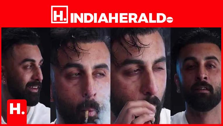 Animal Sequel - Bigger, Darker And Meaner Than Animal?