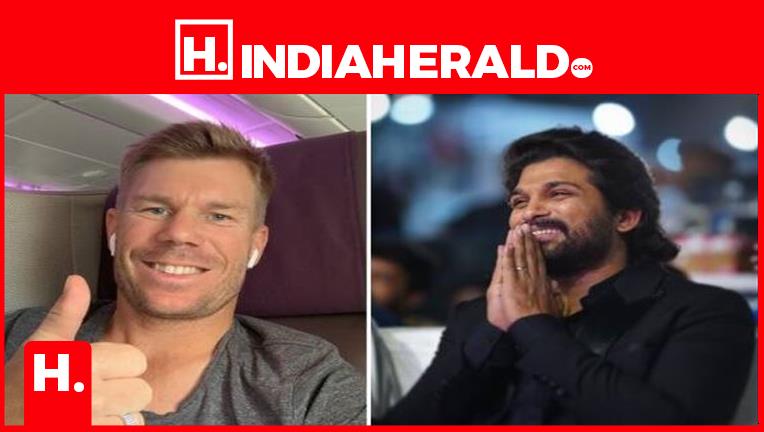 క్రికెట్ వదిలి సినీ ఫీల్డ్ లోకి డేవిడ్ వార్నర్.. ఒక్క ఛాన్స