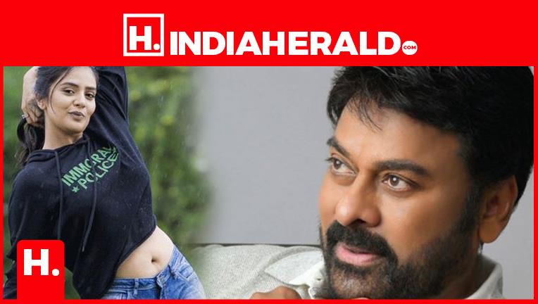 Have Some Sense Chiranjeevi - Will Rajini or Amitabh act in