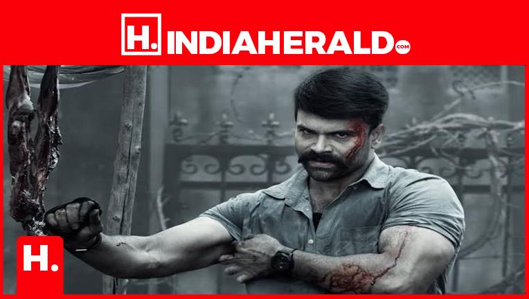 Hidimba Thrives at Box Office with 5.69 Crores.