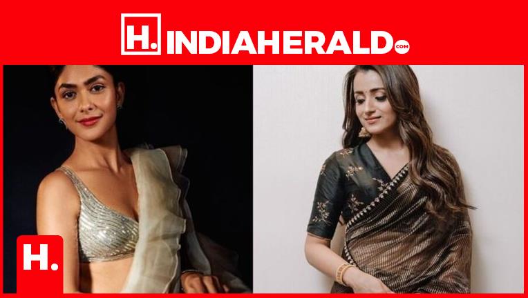 I Don T Expose In Saree Trisha 