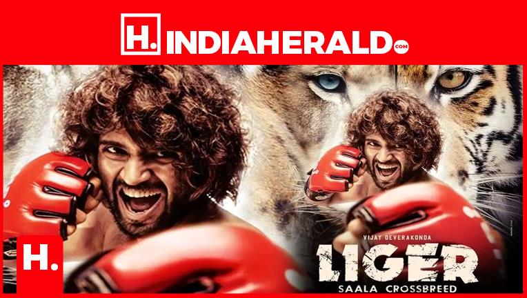 Liger Tiger ready to hunt