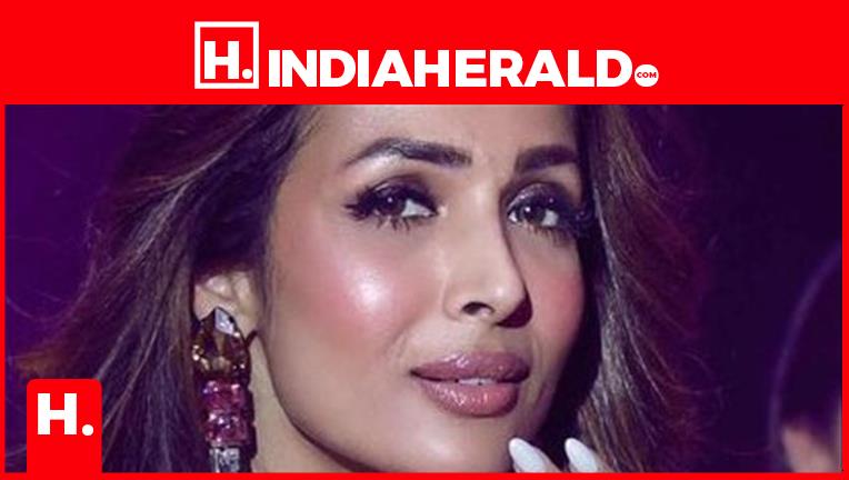 Malaika showed her figure wearing netted clothes
