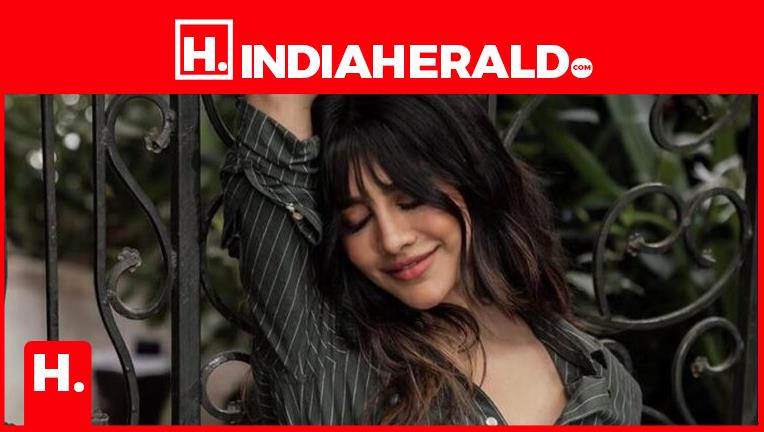 Nabha Natesh’s Classy Chic Mastery - Photos