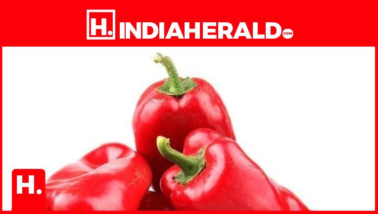 Red chillies are best for blood clotting