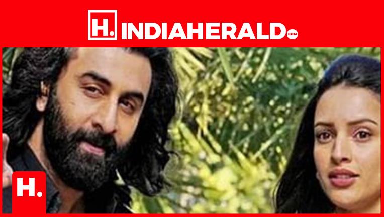 Trupti Dimri is currently touching the immense heights of Bollywood