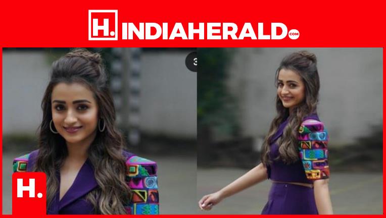 VIDEO - Trisha Marriage News in Public, Finally