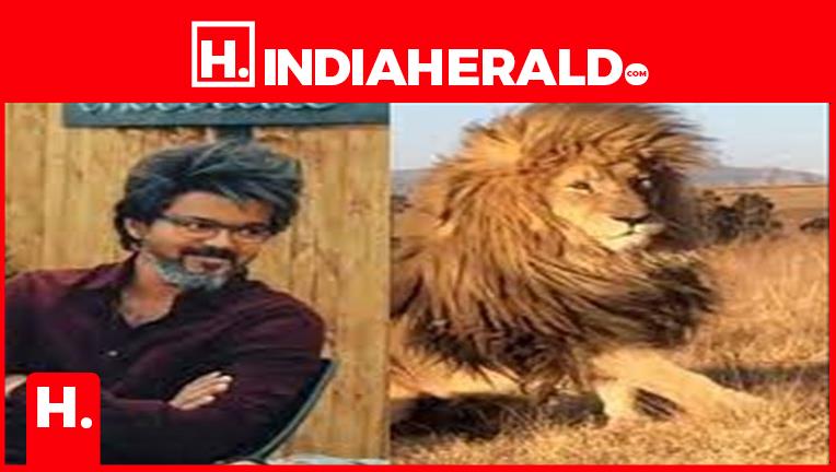 Vijay is hunting lion in Leo.. ? Suspense revealed..