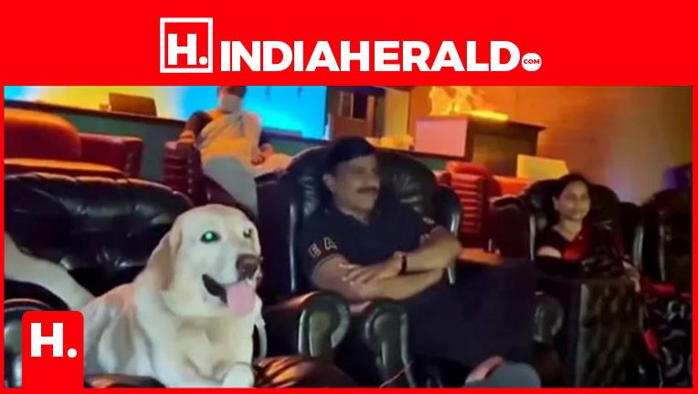 Viral Pic: Gali Janardhana Reddy’S Home Theatre