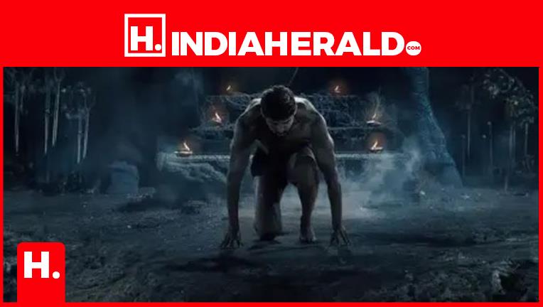 Why Bison? Dhruv Vikram Explains