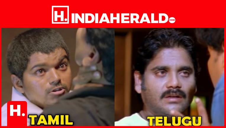 Why Celebs Getting Trolled Like This?