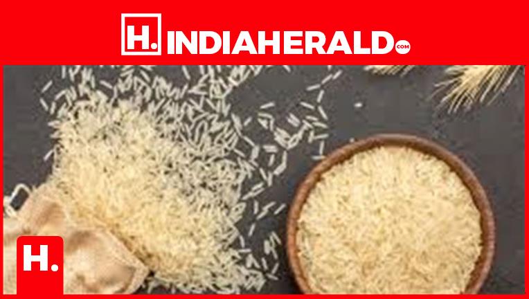 A Entire Manual To Rice: Types, Nutrients, And Cooking Reco