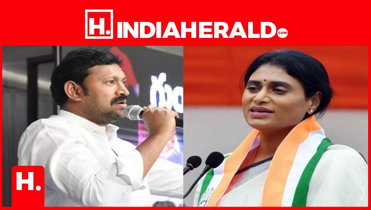 వైసీపీ విక్టరీ : కడపలో అవినాష్ విజయం పక్కా.. షర్మిల కెరీర్