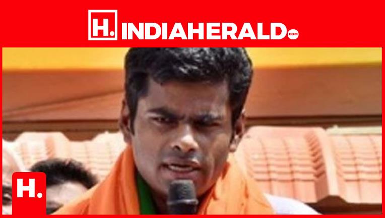 DMK is afraid of me, so you say lamb