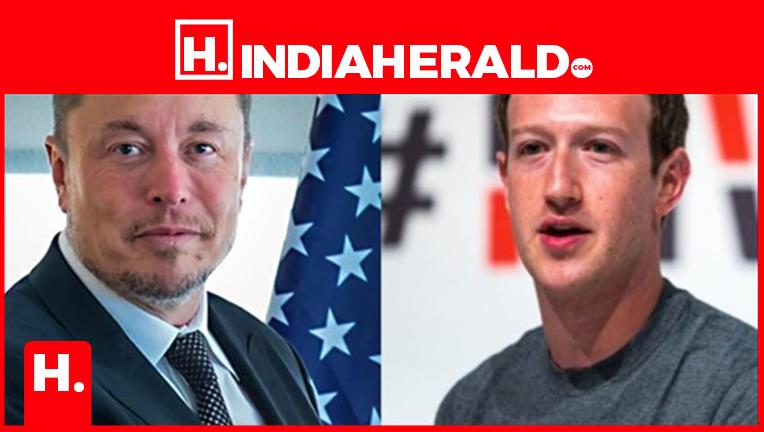 Elon Musk Vs Mark Zuckerberg s Fight To Be Live Streamed On
