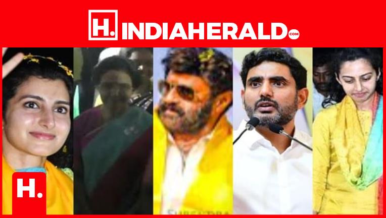 Expatriate Support: TDP s Secret Weapon?