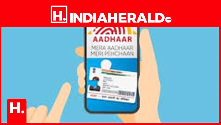 How to Download Aadhaar Card on WhatsApp: Step-by-Step Guide