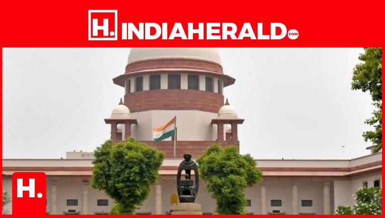 Ideally suited court Extends coloration-Coded sticky label