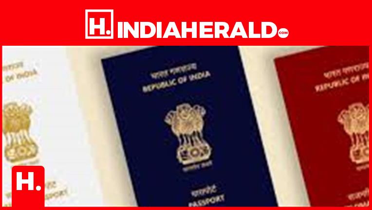 Indian passports: know the 4 types and their features