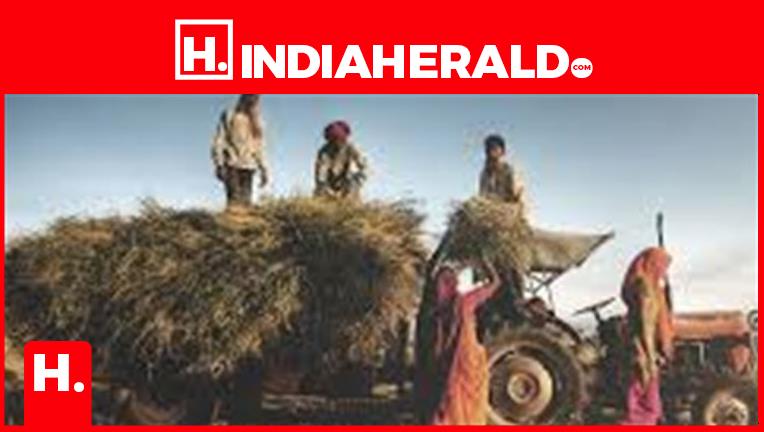 India s Agriculture GVA Grows 3X In 12 Years: