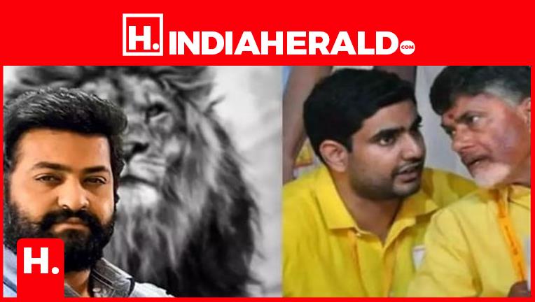 Jr. NTR Fans mass warning to TDP leaders