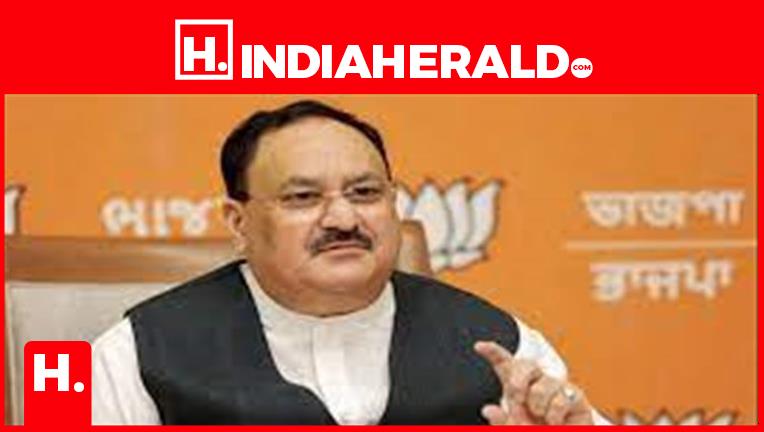 Mission 2024: Who got a place in the new BJP team