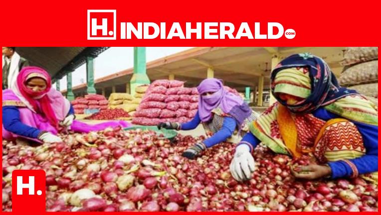 NCCF selling onions at subsidized rates in 457 retail outle
