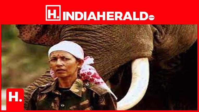 Padma Shri to First Female Elephant Mahout