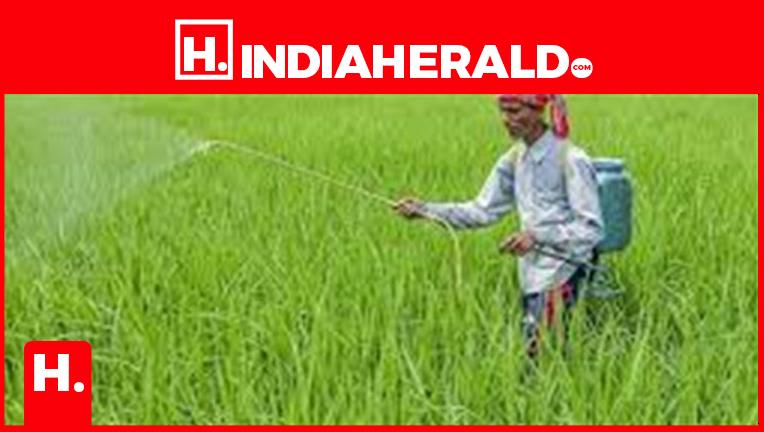 Pradhan Mantri Fasal Bima Yojana (PMFBY) 2025: Your Safety