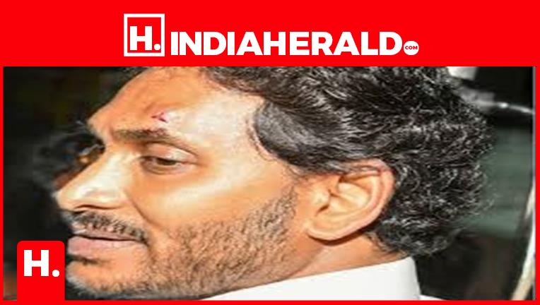 Stone Attack on Andhra CM: Families Suspects Stage Protest
