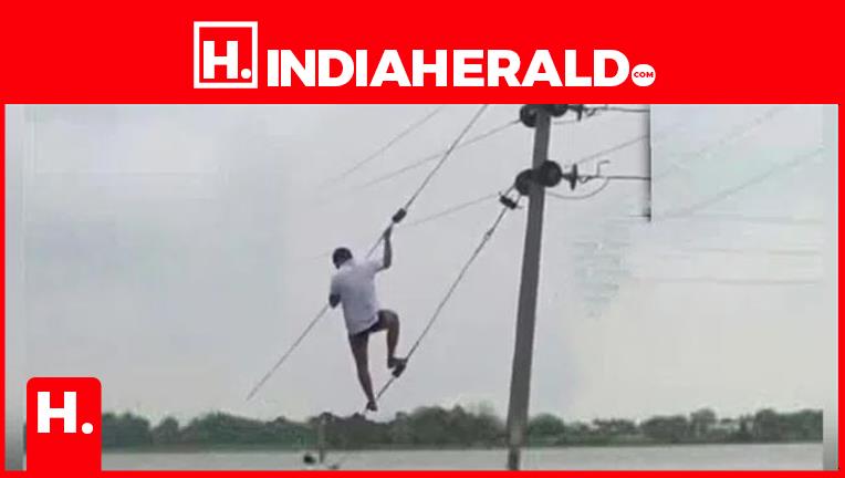 Telangana Junior lineman restores power supply by risking l