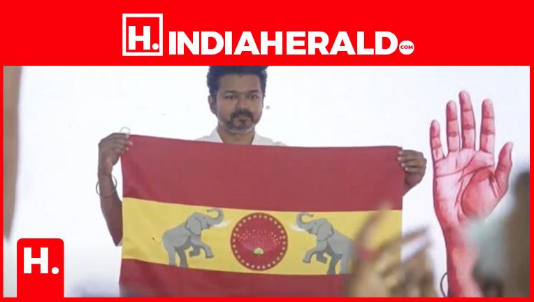 The Hidden Details in Vijay s TVK Flag